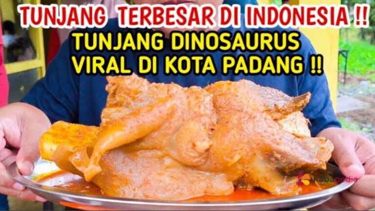 Ini Dia Gulai Tunjang Dinosaurus Viral di Kota Padang